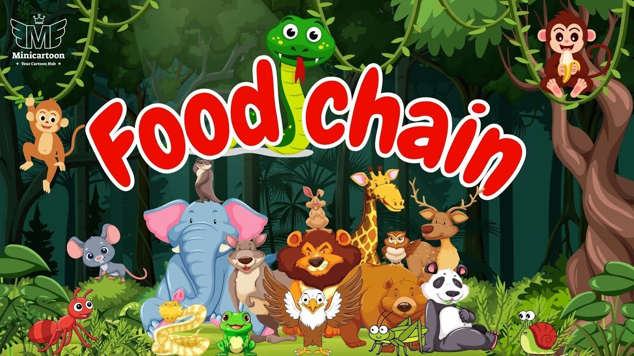 Food Chain Story for Kids குழந்தைகளுக்கான அசத்தலான உணவு சங்கிலி கதை ...