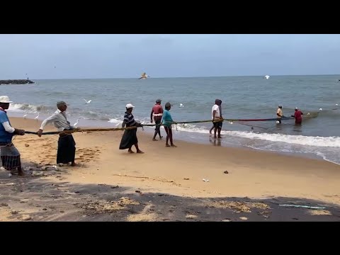 Huge seine fishing at shore from deep sea - YouTube