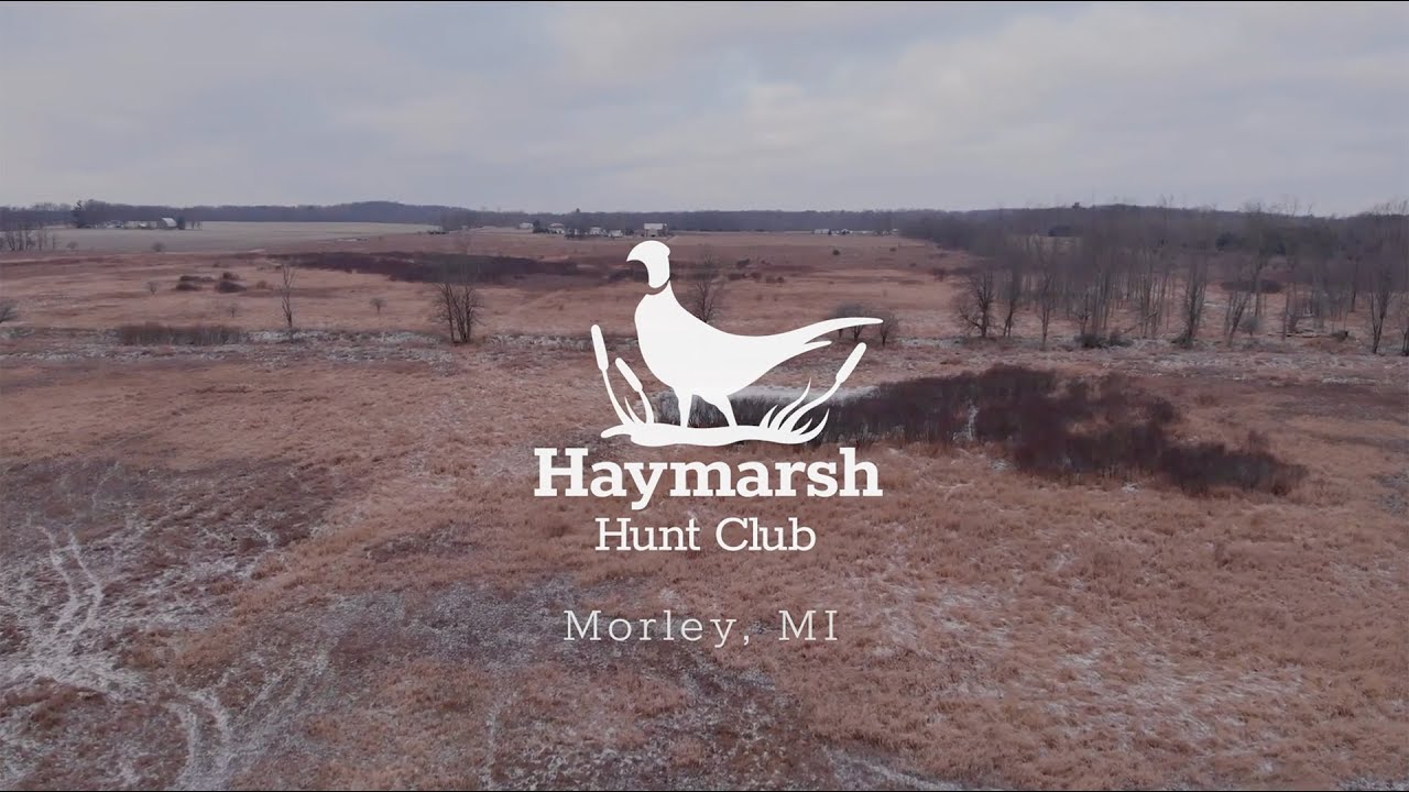 Haymarsh Hunt Club of Morley, MI - YouTube