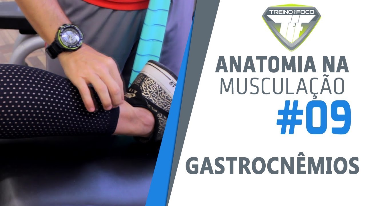 Gastrocnêmios - Anatomia na Musculação #9 - YouTube