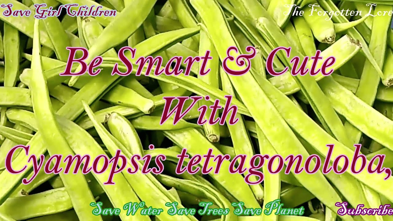 Guar - Be Smart & Cute with Cluster Bean / Kothavarai / Gori Chikkudu ...