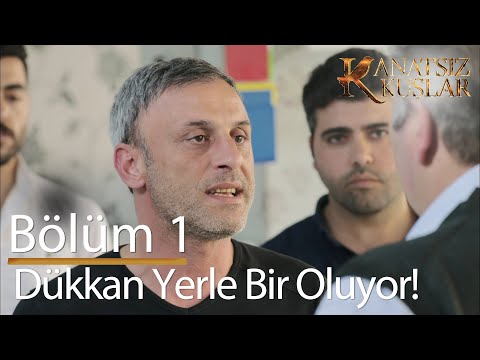 Ahmet'in belalıları dükkanı yerle bir ediyor! - Kanatsız Kuşlar 1. Bölüm