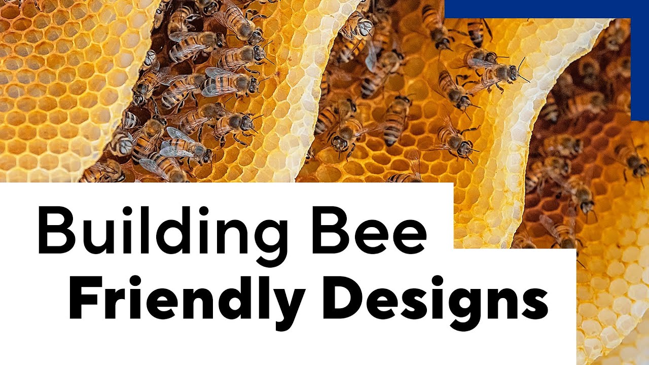 Creating bee friendly design - YouTube