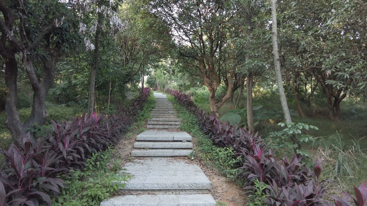 Me Take a walk in the park,4K Ultra HD,45 minutes - YouTube