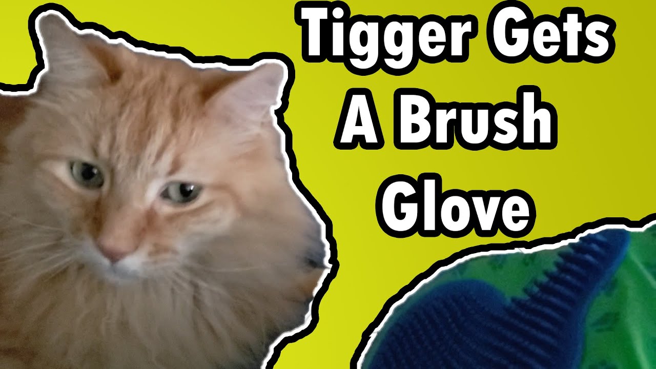 Tigger gets a Brush Glove - YouTube