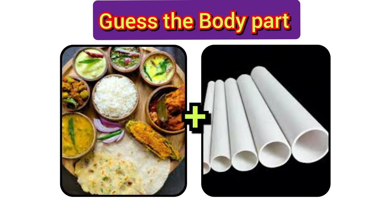 Guess the Body part (Part 2)|Picture riddle with answer - YouTube