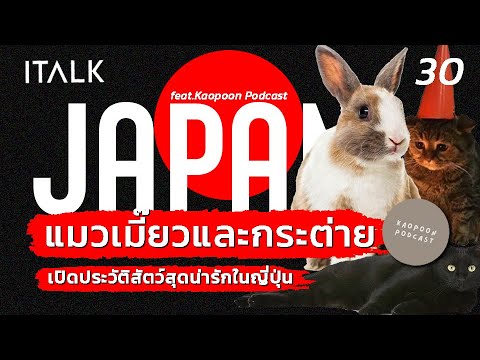 เปิดประวัติสัตว์สุดน่ารักในญี่ปุ่น feat.@KaopoonPodcast : Italk2 the story 30 - YouTube