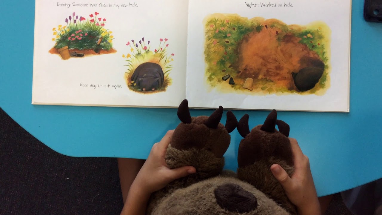 Diary of a Wombat - YouTube