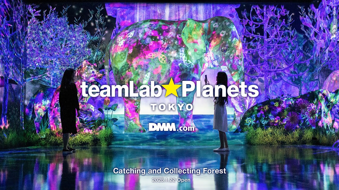 Catching and Collecting Forest Highlight Video - YouTube