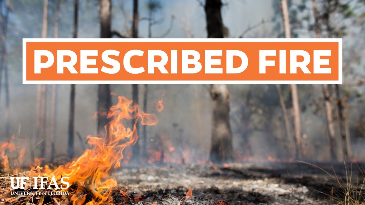 What is Prescribed Fire Awareness Week? - YouTube