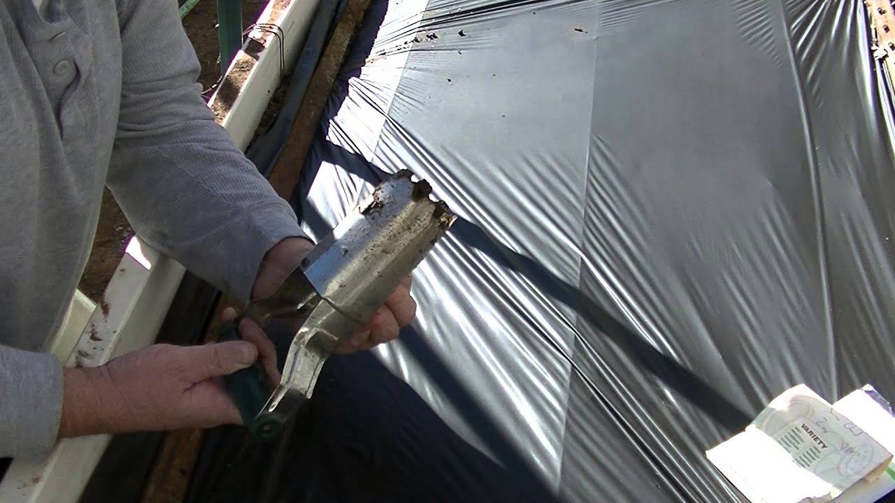 Planting through plastic - YouTube