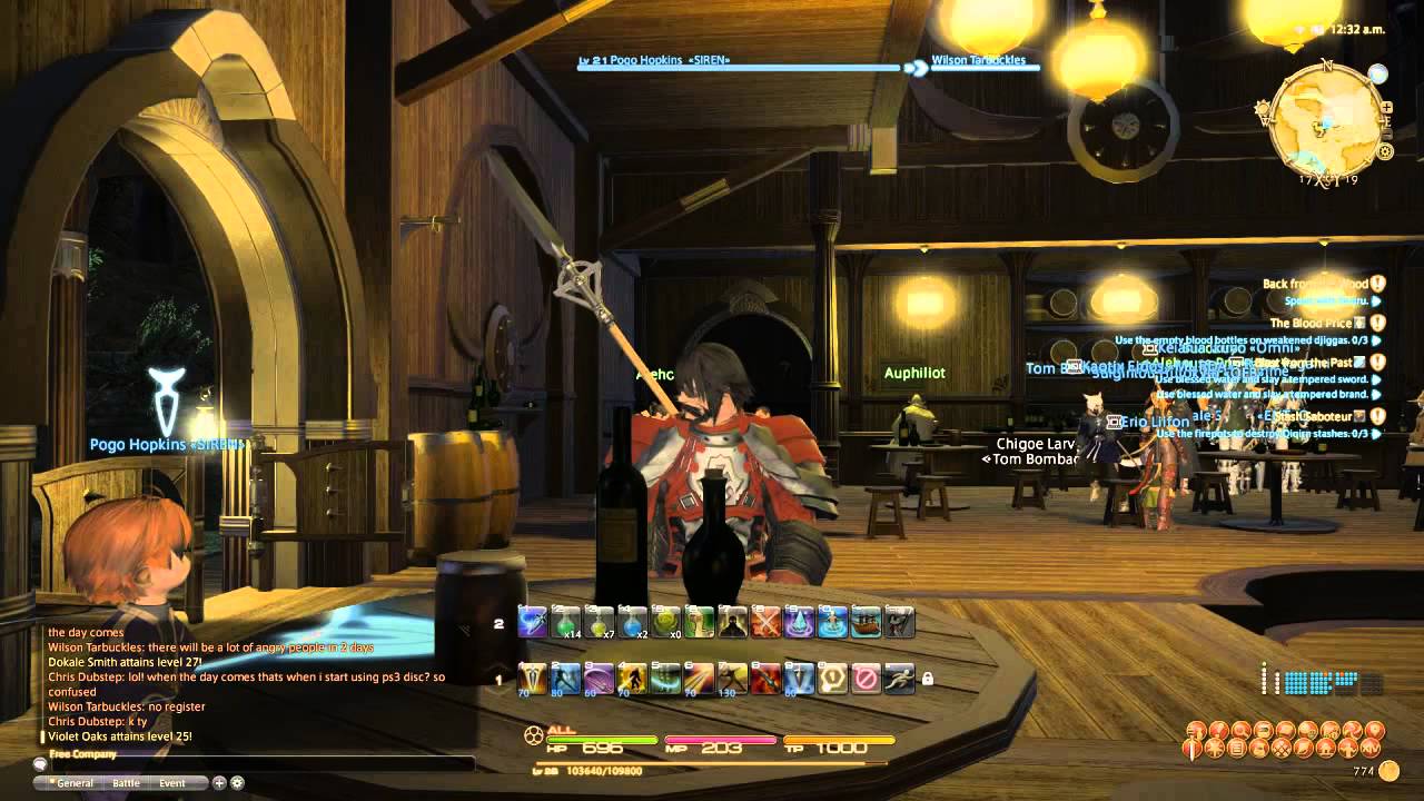Final Fantasy XIV - Bar Flies - YouTube