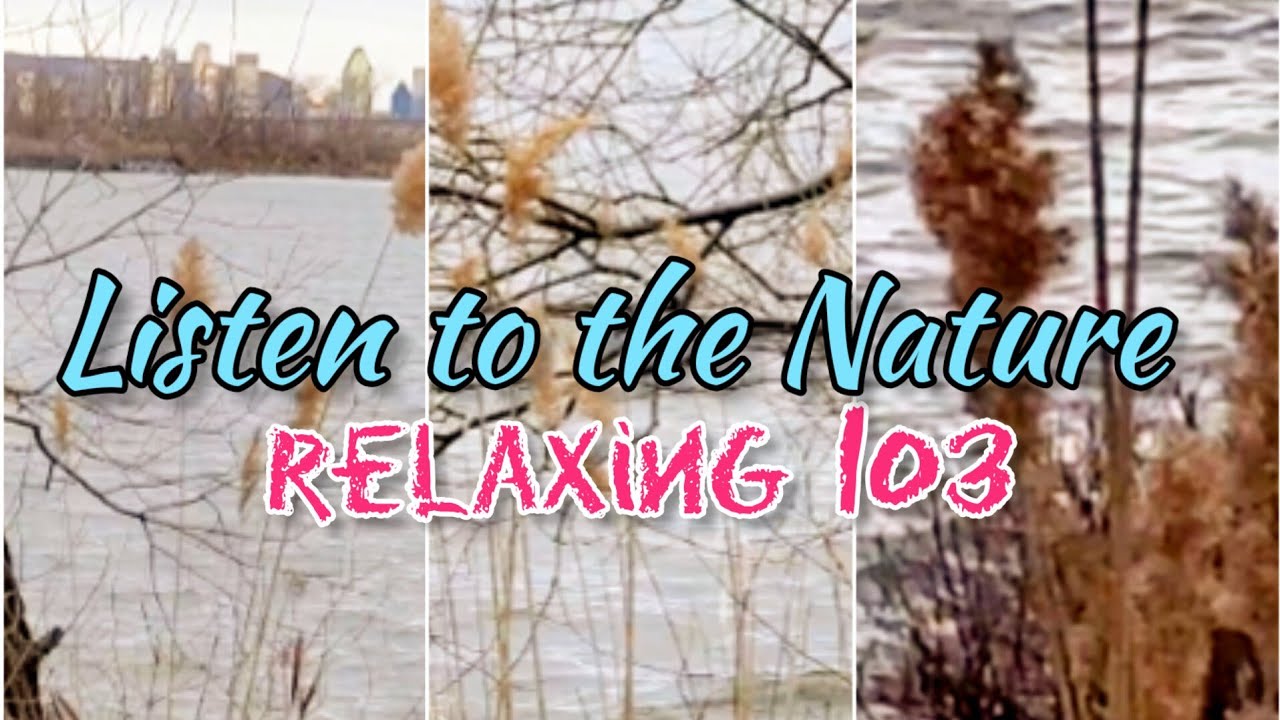 LISTEN to the NATURE Relaxing 103 #nature #relaxing ...