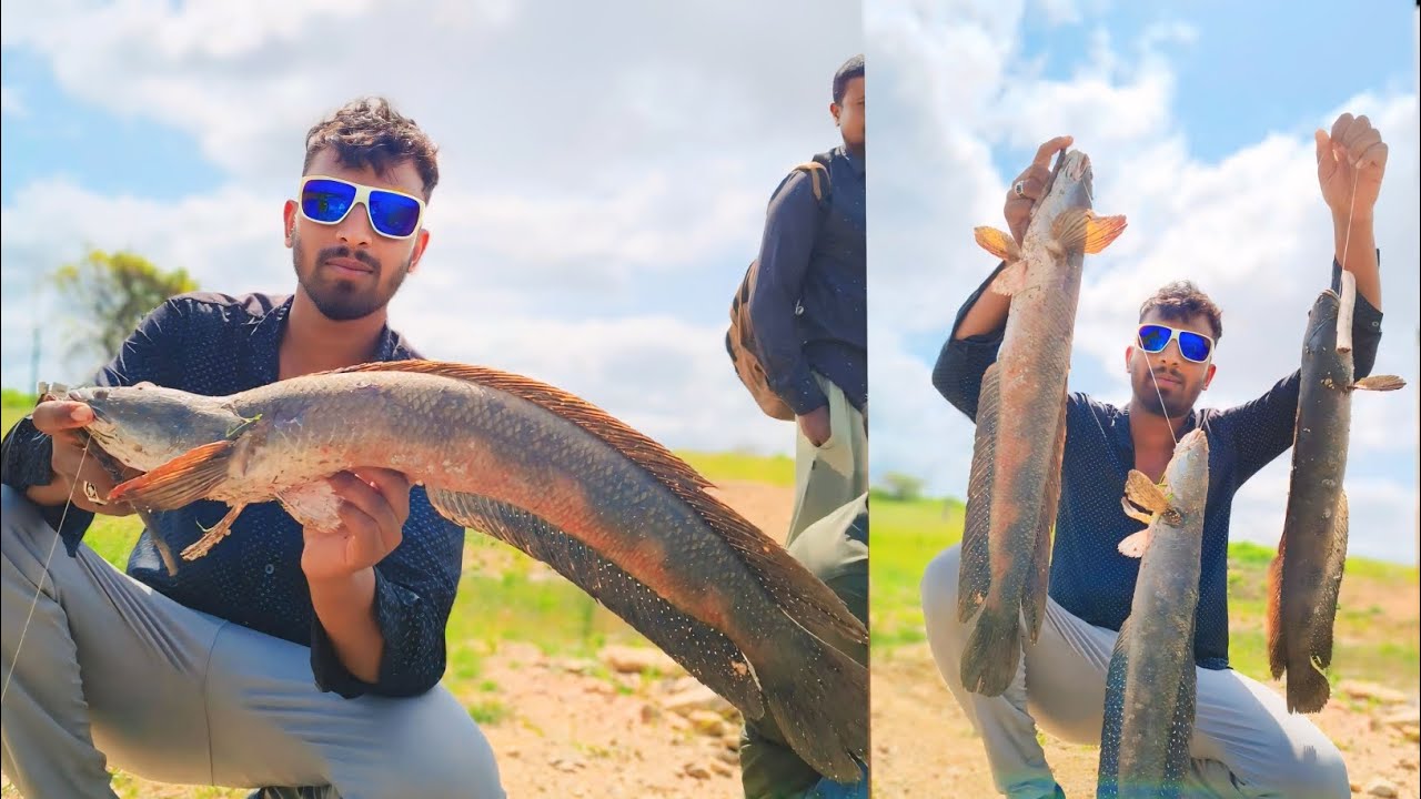 MARAL HOOK UP. MARAL FISHING I SNAKE HEAD FISH FISHING VIDEO - YouTube