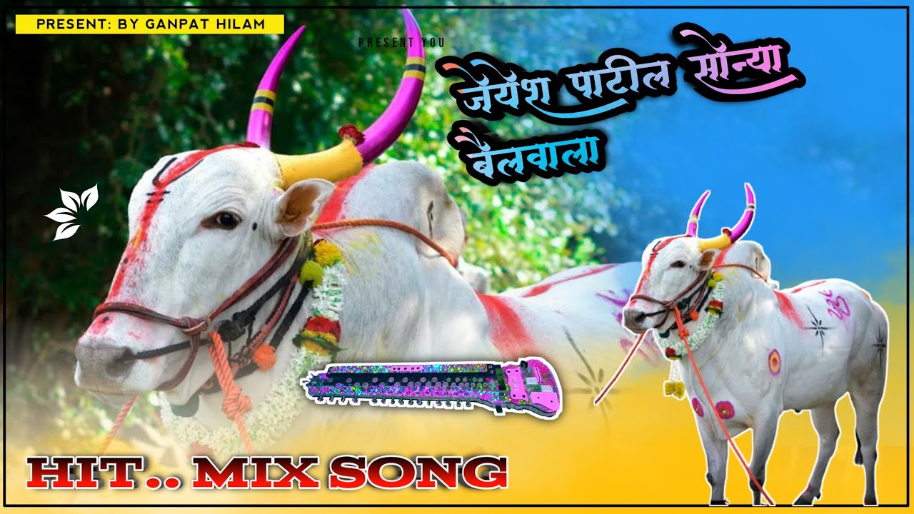 Sonya bail vala जेयेश पाटील सोन्या बैल वाला 5050 - YouTube