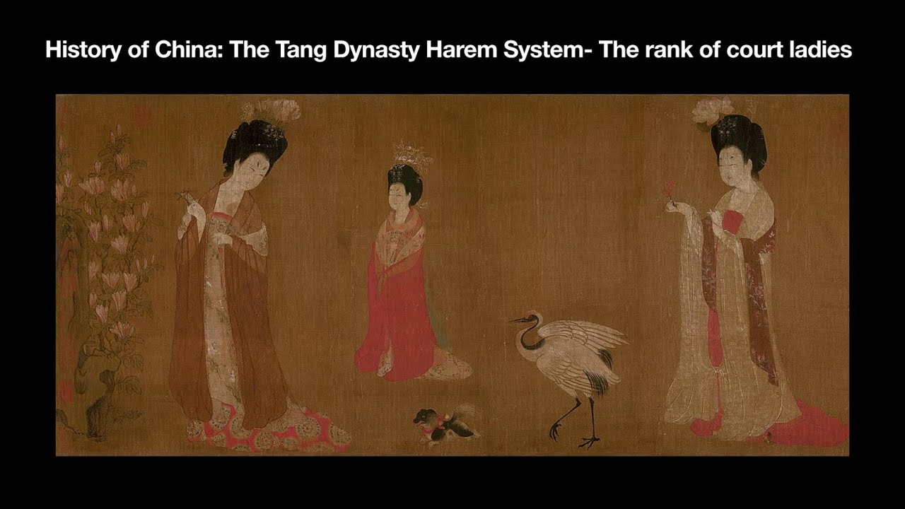 History of China: The Tang Dynasty Harem System- The rank of inner ...