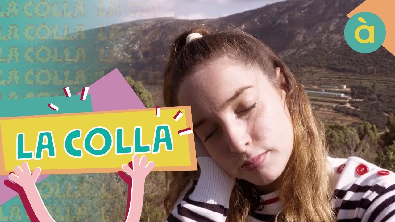 La Colla Animal | Els que més dormen 💤 - YouTube