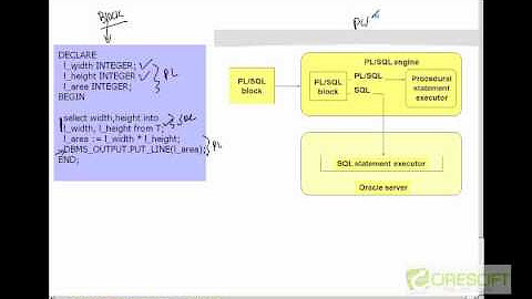 Oracle PL/SQL - YouTube