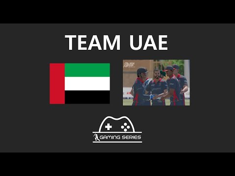 Remembering the UAE Gaming Series team and their national contributions ...