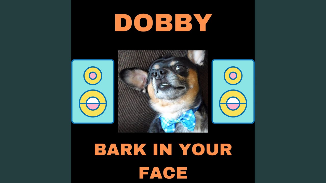 Dobby - Bark in Your Face - YouTube
