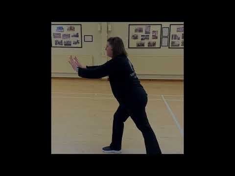 Inner Balance Tai Chi 108 Move Set