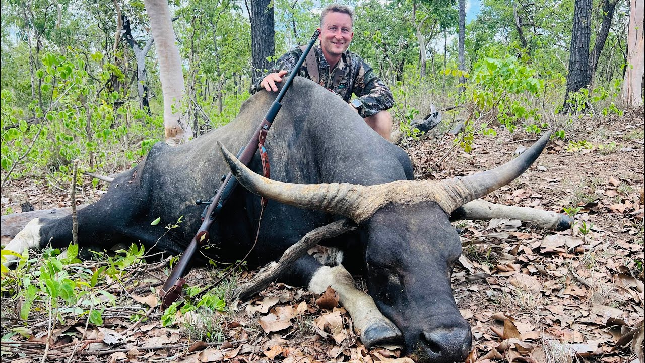 World's Best Banteng Hunting in Australia's Northern Territory at ...