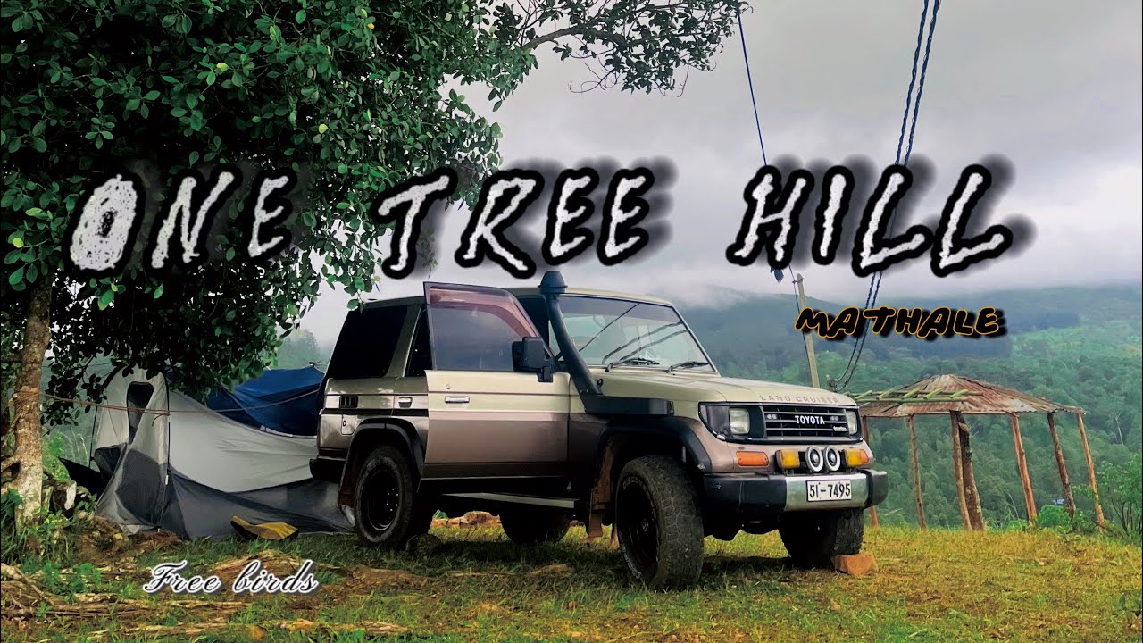 One tree hill 🍃🏕🇱🇰|mathale| camping night| off road |#travel #camping # ...