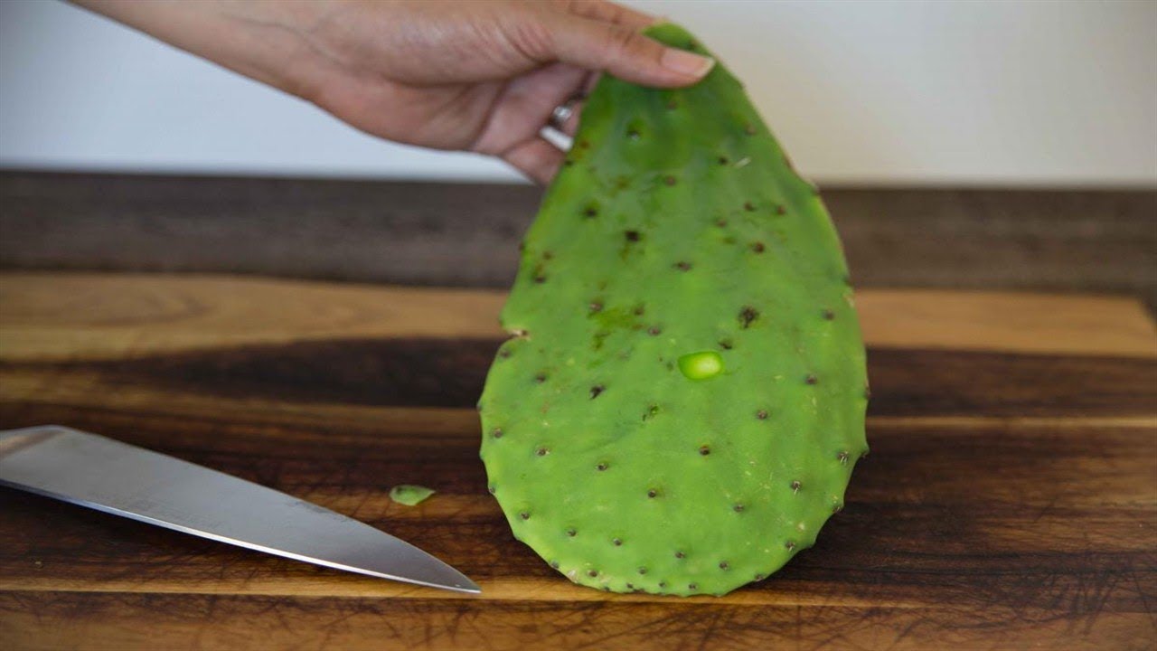 EL NOPAL PARA QUE SIRVE 👍 Qué Pasa Si Como Nopal Crudo - YouTube