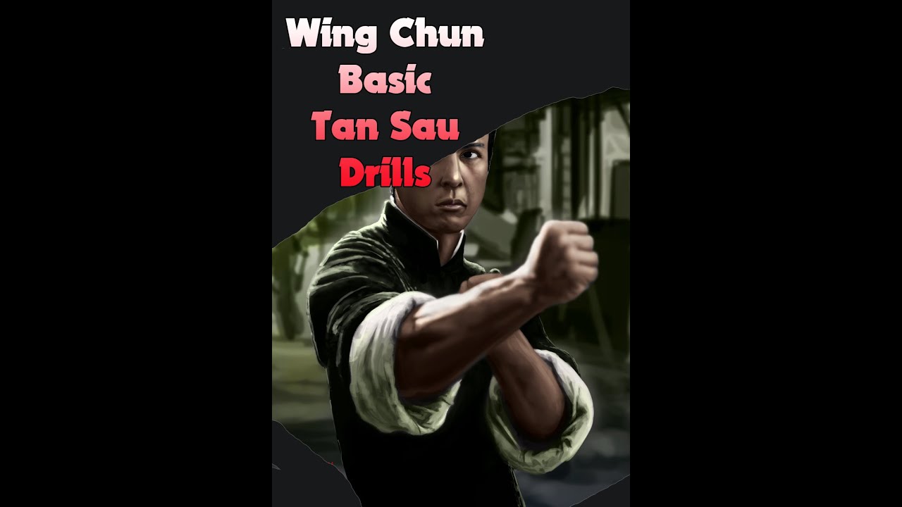 Wing Chun Basics: Tan Sau/ Pak Sau drills Episode 1 - YouTube