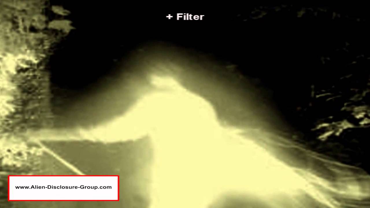 Tall White Alien Caught On Cam 2013? - YouTube