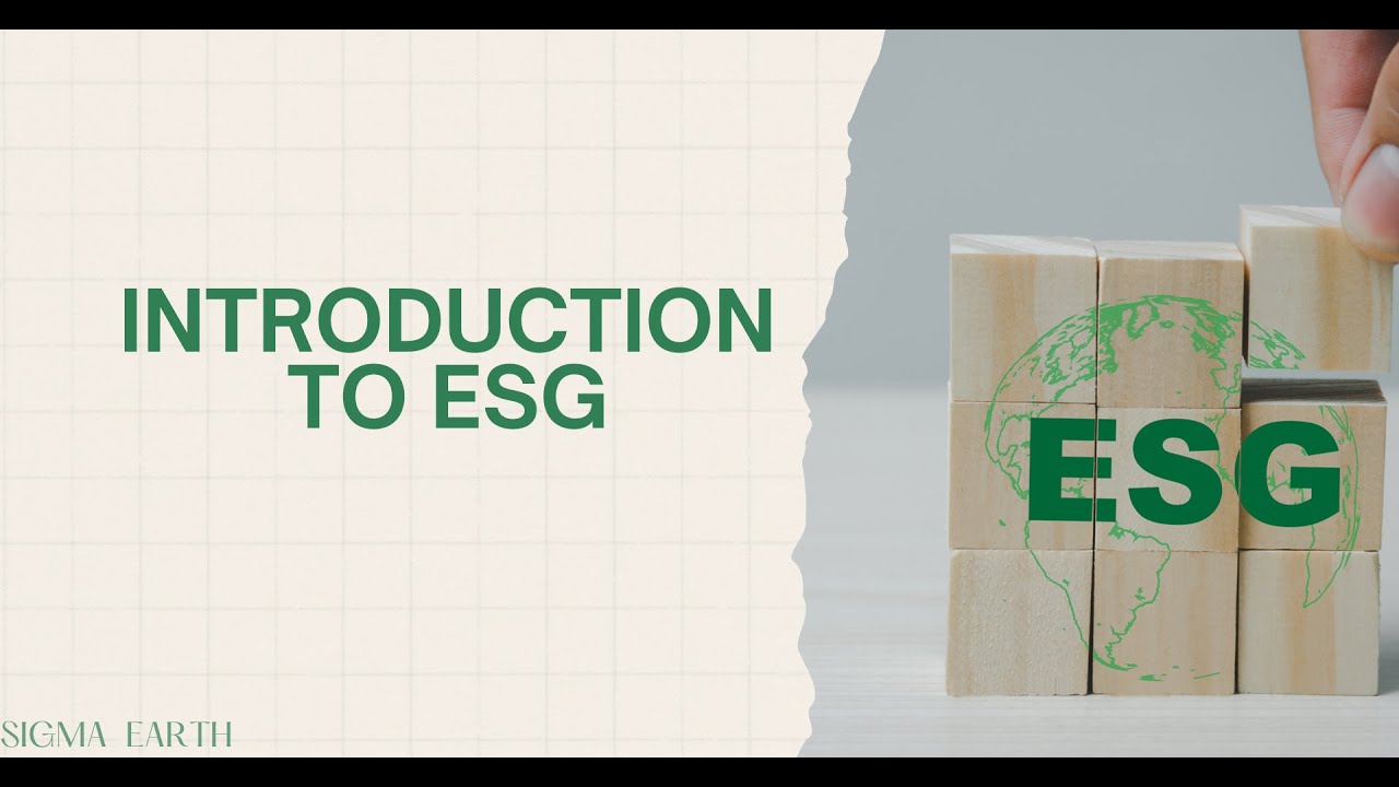 ESG Training Course | Introduction to ESG | Environmental, Social, and ...