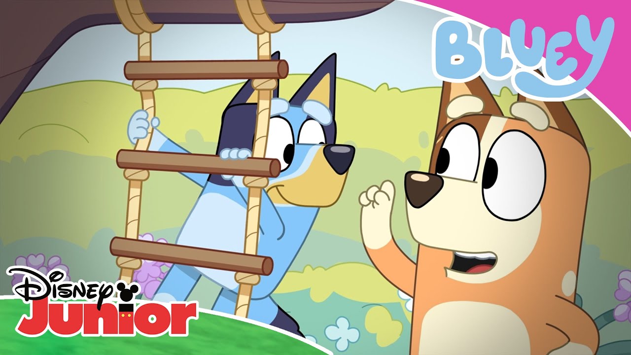 🥰 Najlepsze zabawy! | Blue | Disney Junior Polska - YouTube