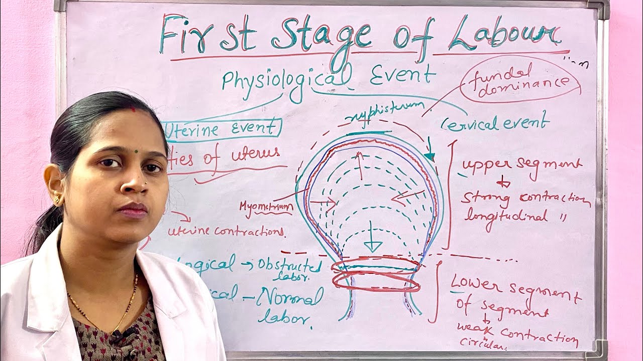 First stage of labour/ Definition/ phases/Physiological events ...