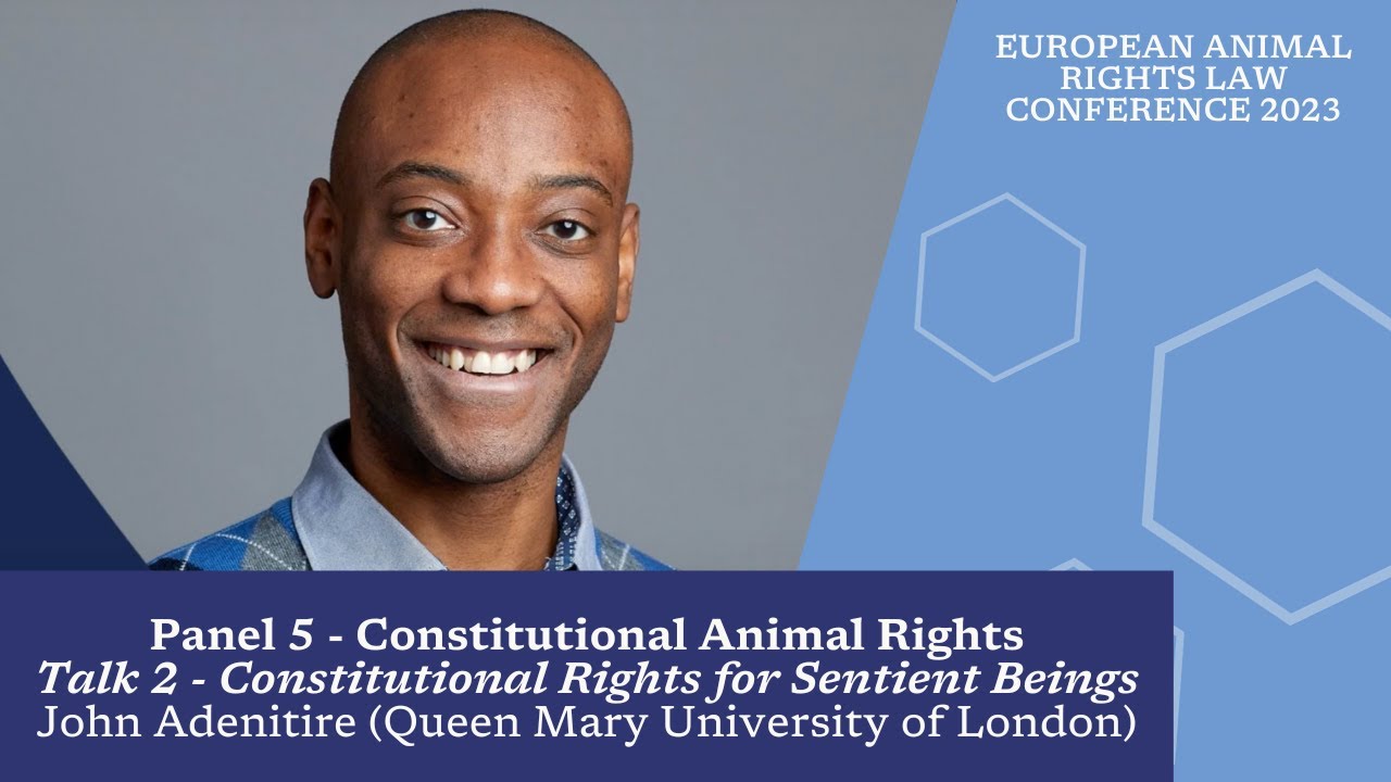 Constitutional Rights for All Sentient Beings | John Adenitire - YouTube