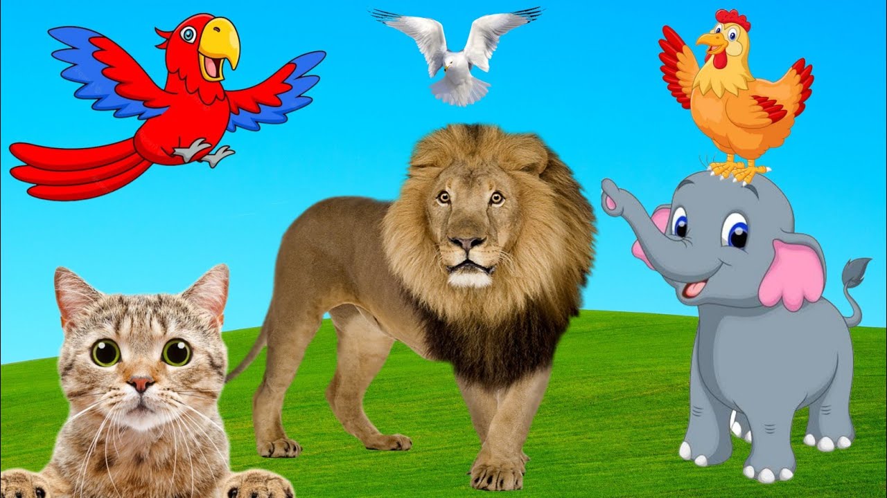 Animal sounds, life sounds, cows, dogs, horses, monkeys, elephants ...