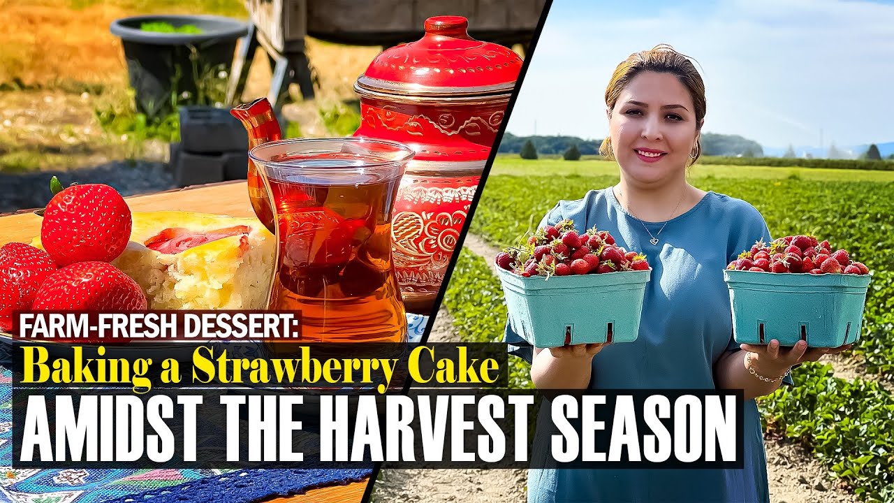 Farm-Fresh Dessert: Baking a Strawberry Cake amidst the Harvest Season ...