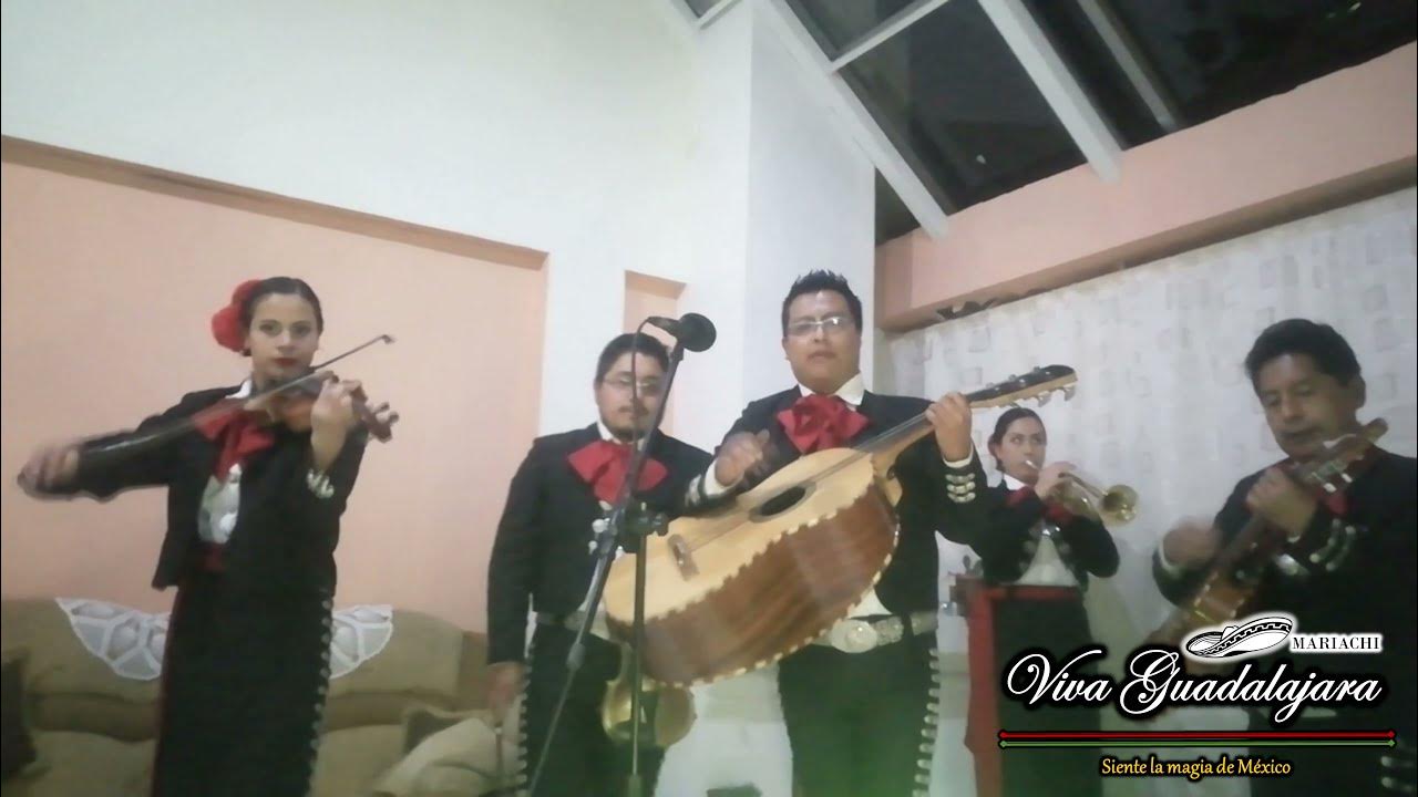 SERENATA VIRTUAL - El Son del Alegre - Mariachi Viva Guadalajara ...