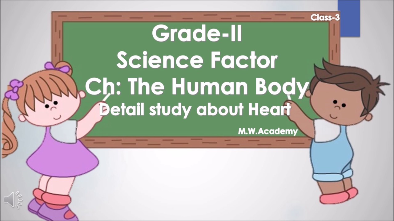 Grade-II | Science | The human body | Detail study about Heart | Class3 ...