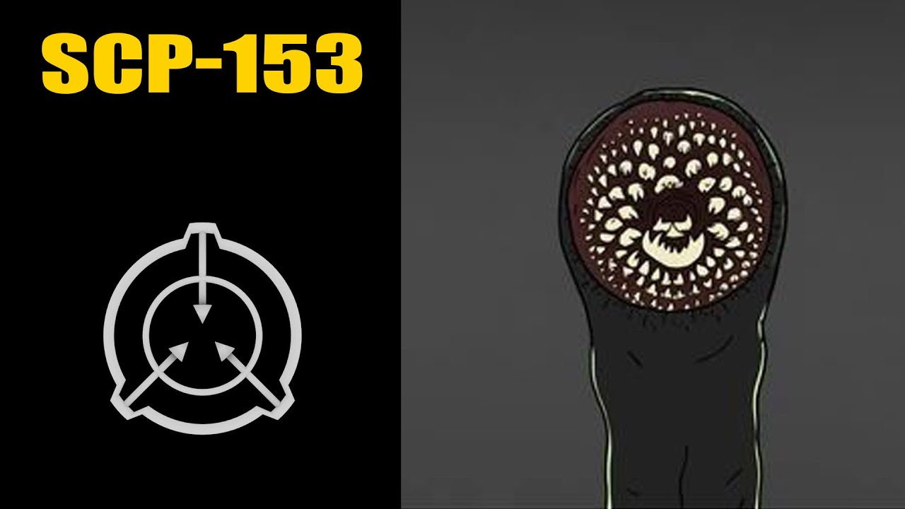 SCP-153 — Robaki ściekowe [LEKTOR PL] - YouTube