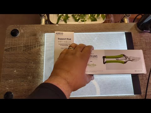 Another Amazon Find - YouTube