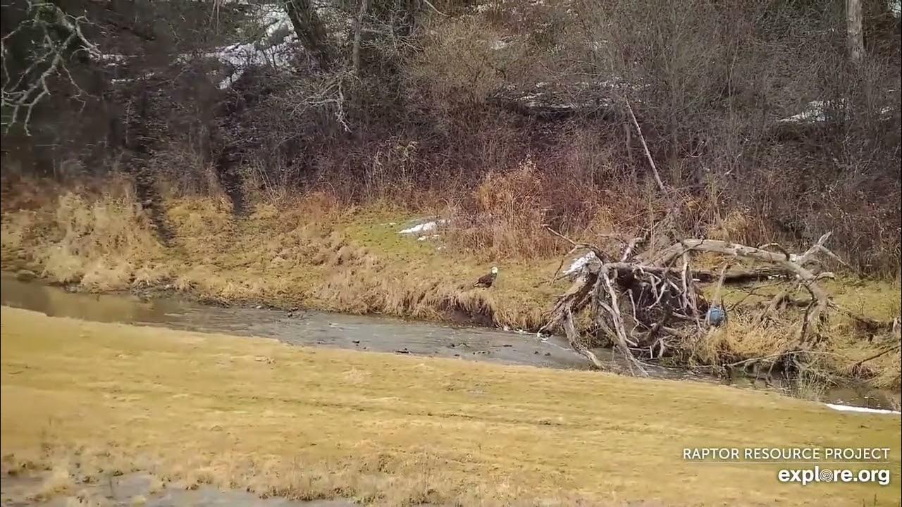 Decorah North Eagles - Mr goes fishing - DNF demands the catch ...