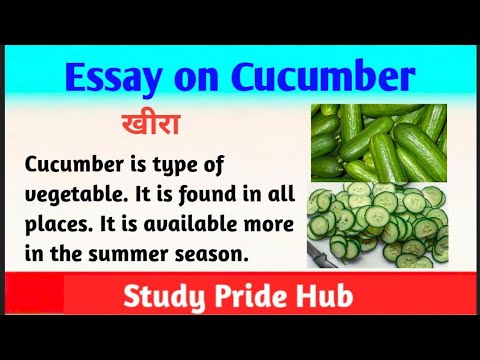 Essay on Cucumber in English | Essay on Cucumber | Essay on Kheera ...