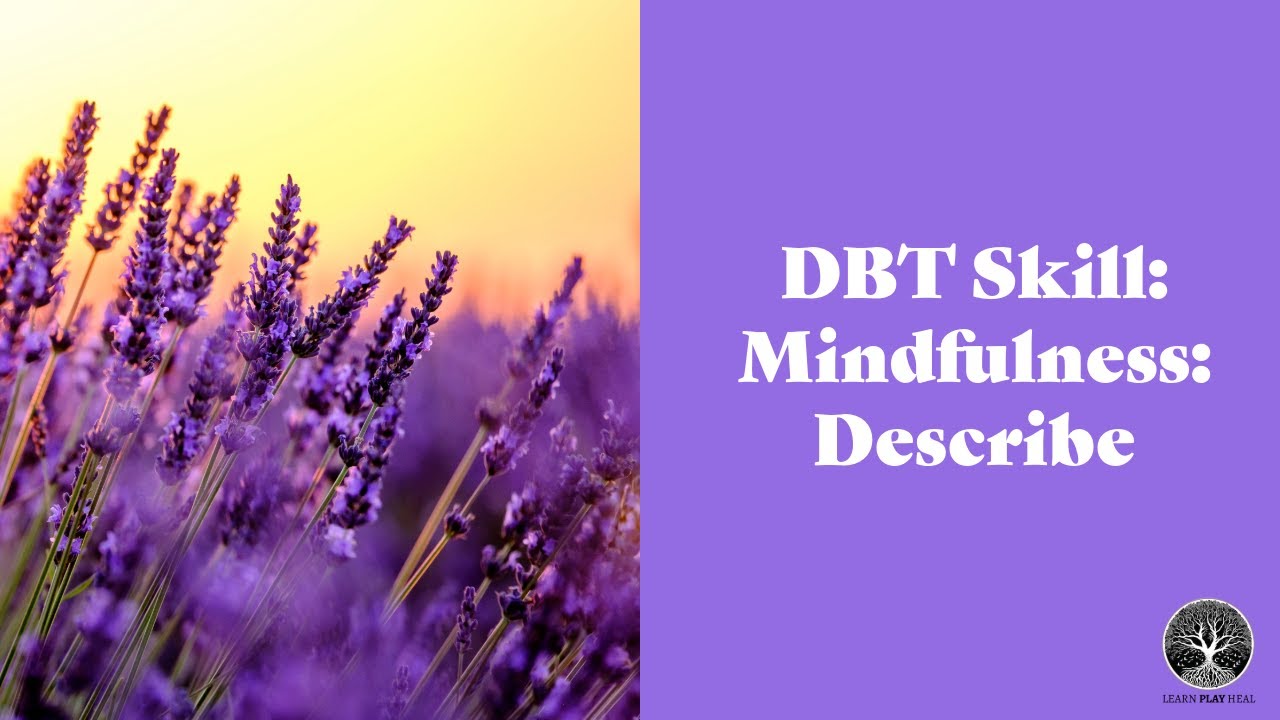 Mindfulness Dialectical Behavior Therapy (DBT) Skill of Describe - YouTube