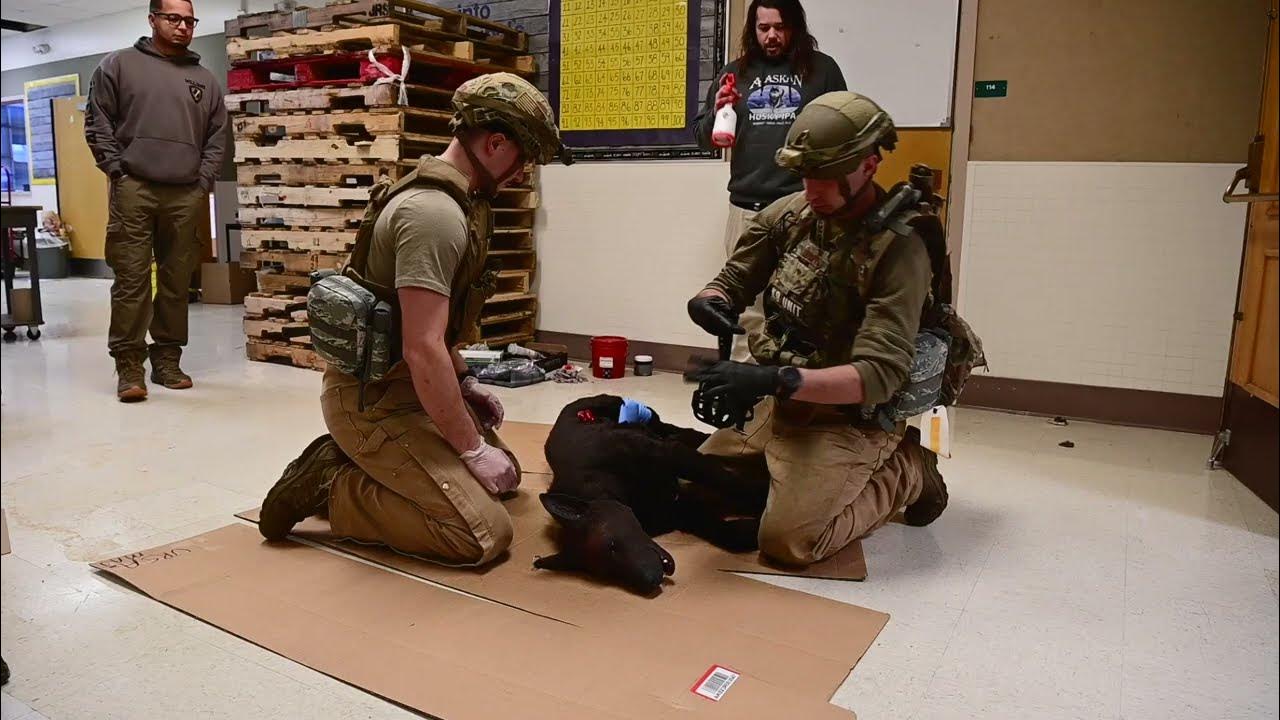K9 DOWN: Canine Tactical Combat Casualty Care in Alaksa - YouTube