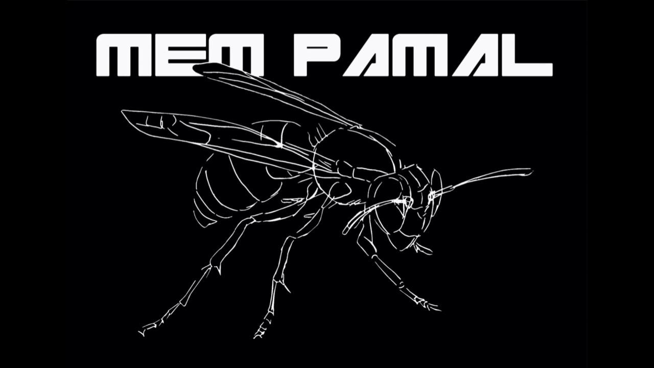 MEM PAMAL - Start to be alive - © Bruno Raffin - YouTube