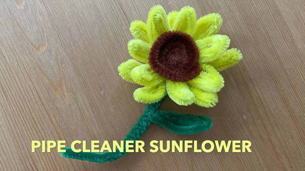 Pipe Cleaner Flowers - Sunflower - YouTube