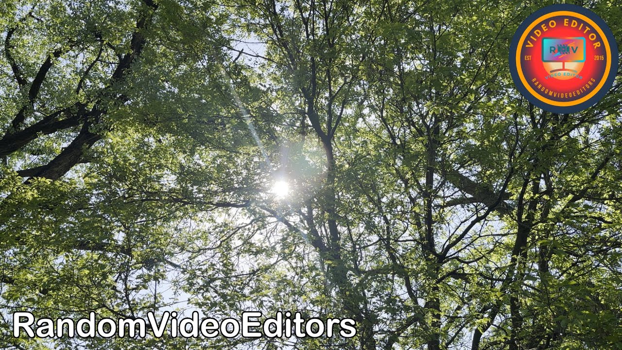 Cinematic Video Shots Ep. 12 | 4K - YouTube