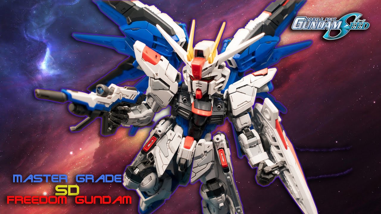 Master Grade SD Freedom Gundam Review - YouTube
