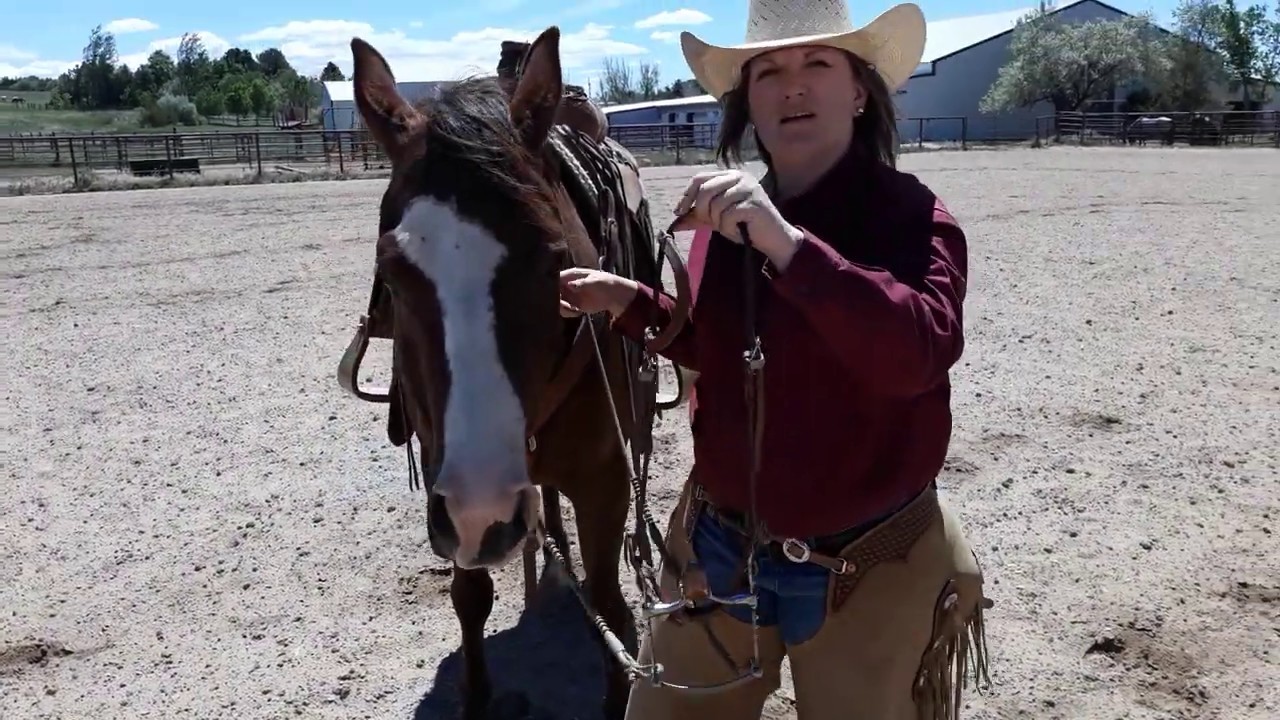 Heather Piaseck on Smooth Outta Color (Clooney), Amateur Green Rider W ...