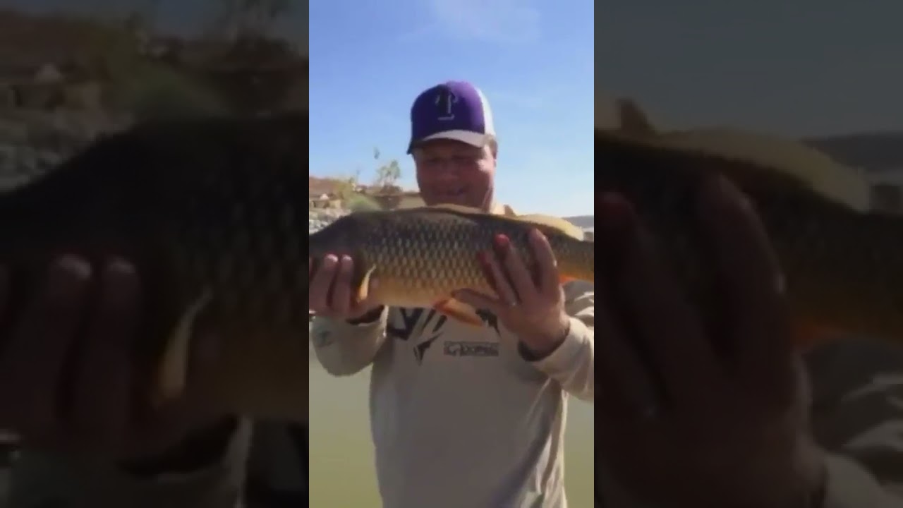Caught Fish Fail! - YouTube